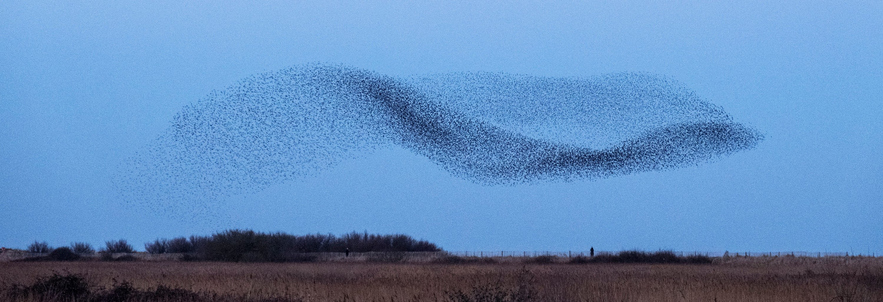 Product Guide | SharpCloud