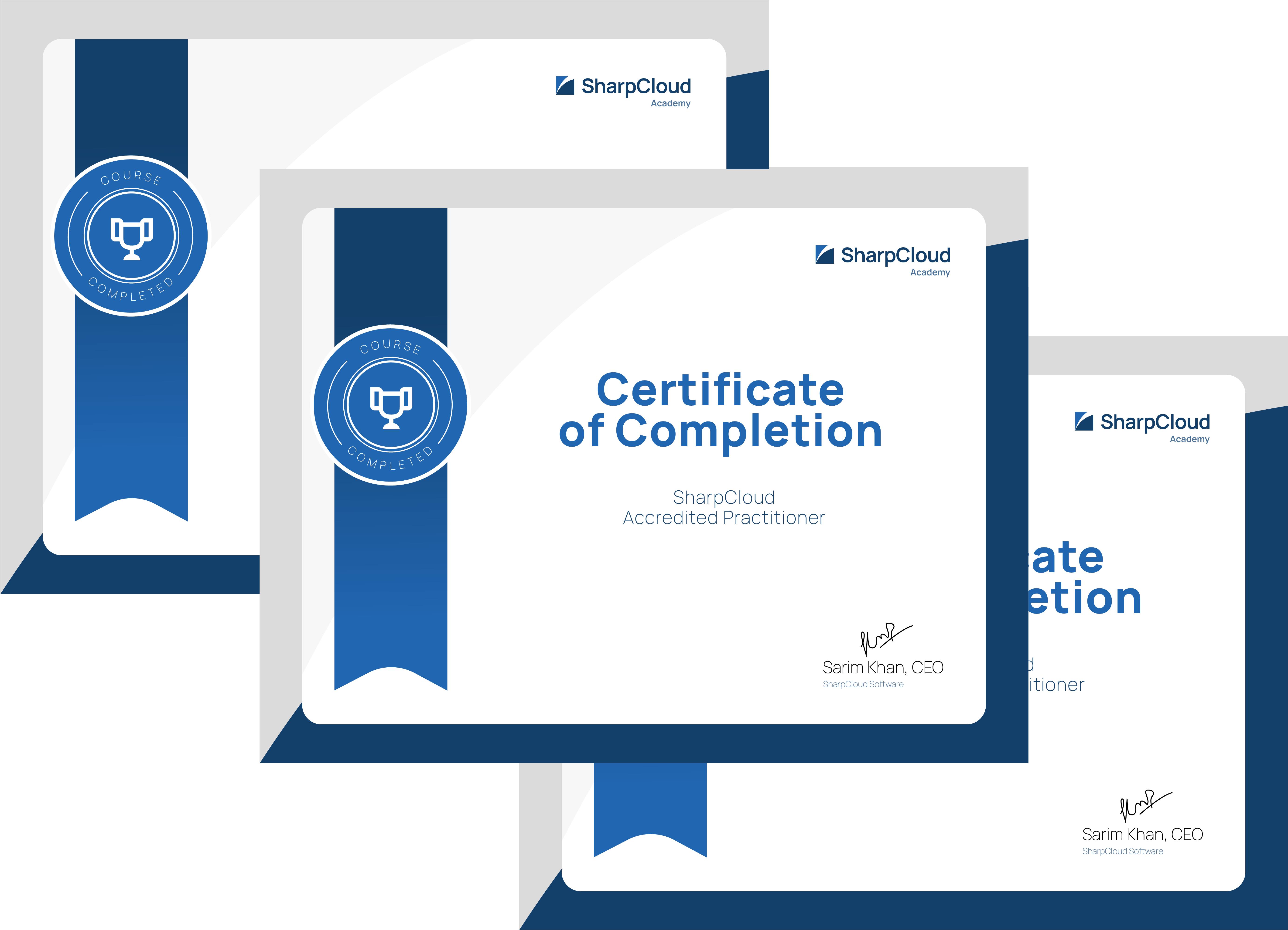 SharpCloud Training led by SharpCloud experts